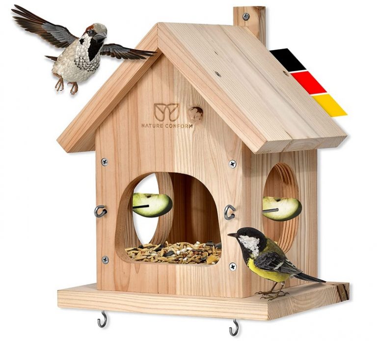 Finken – Finkenarten im Überblick